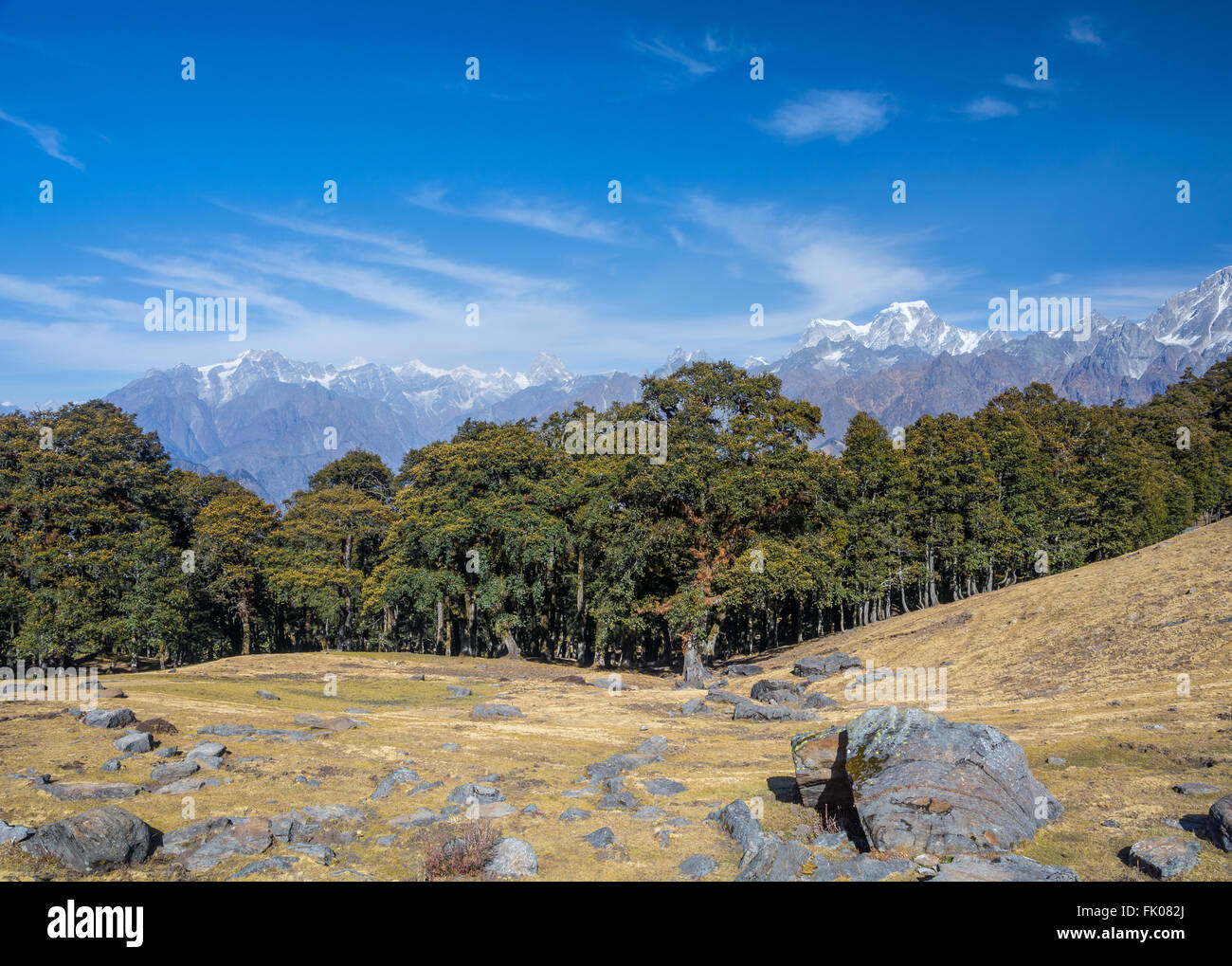 High altitude grassland hi-res stock photography and images - Alamy