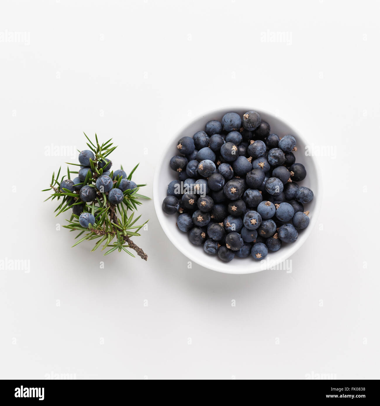 Juniper berries with branch on white background Stock Photo - Alamy