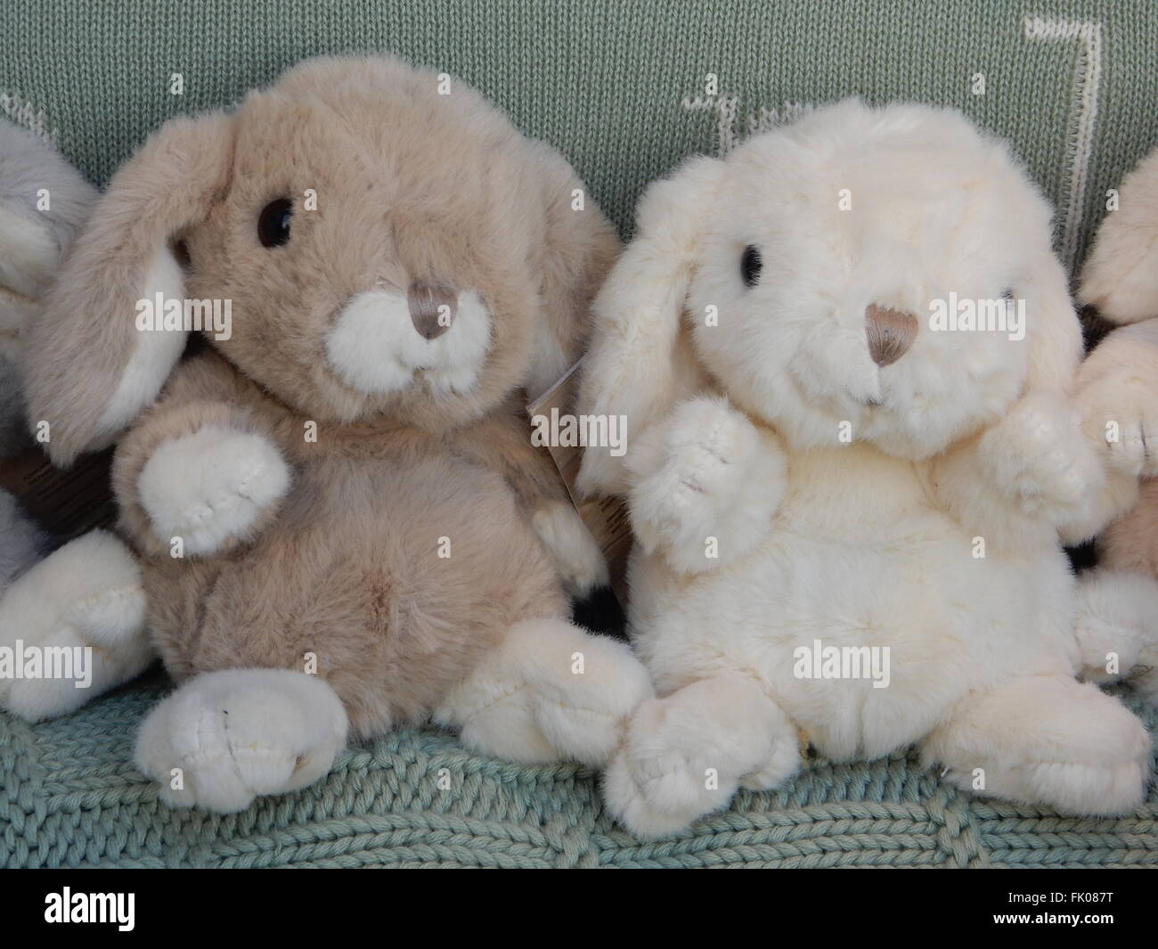 two Easter Bunnies sitting on a couch Stock Photo - Alamy