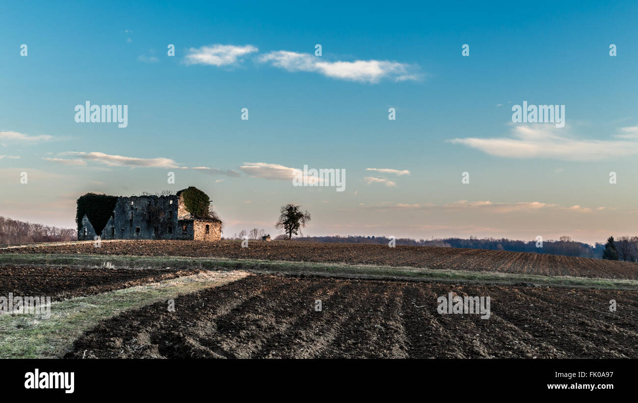 an abandoned and ruined farm in the fields of Italy Stock Photo - Alamy