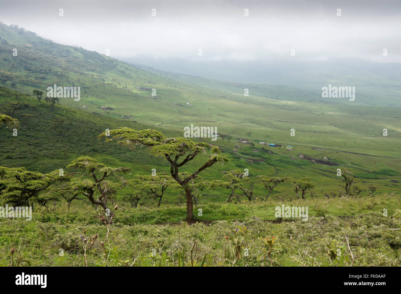 Masai dwellings hi-res stock photography and images - Alamy