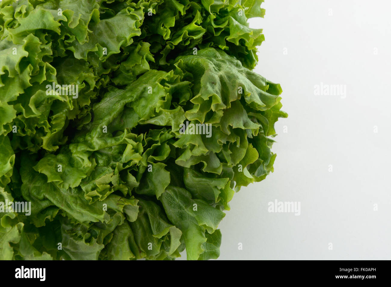 Green leaf lettuce hi-res stock photography and images - Alamy
