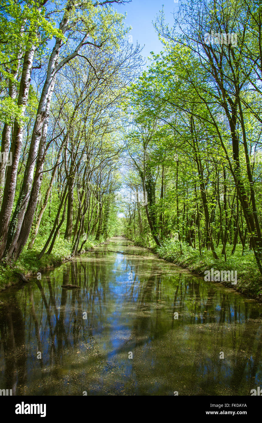 tranquil river canal with trees around Stock Photo - Alamy