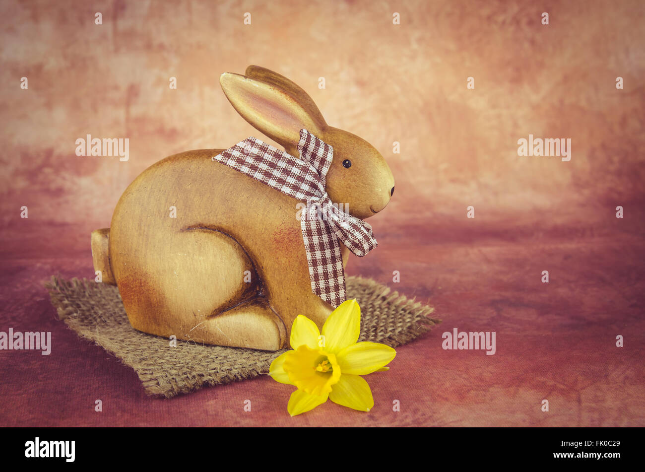 brown bunny and yellow daffodil Stock Photo - Alamy