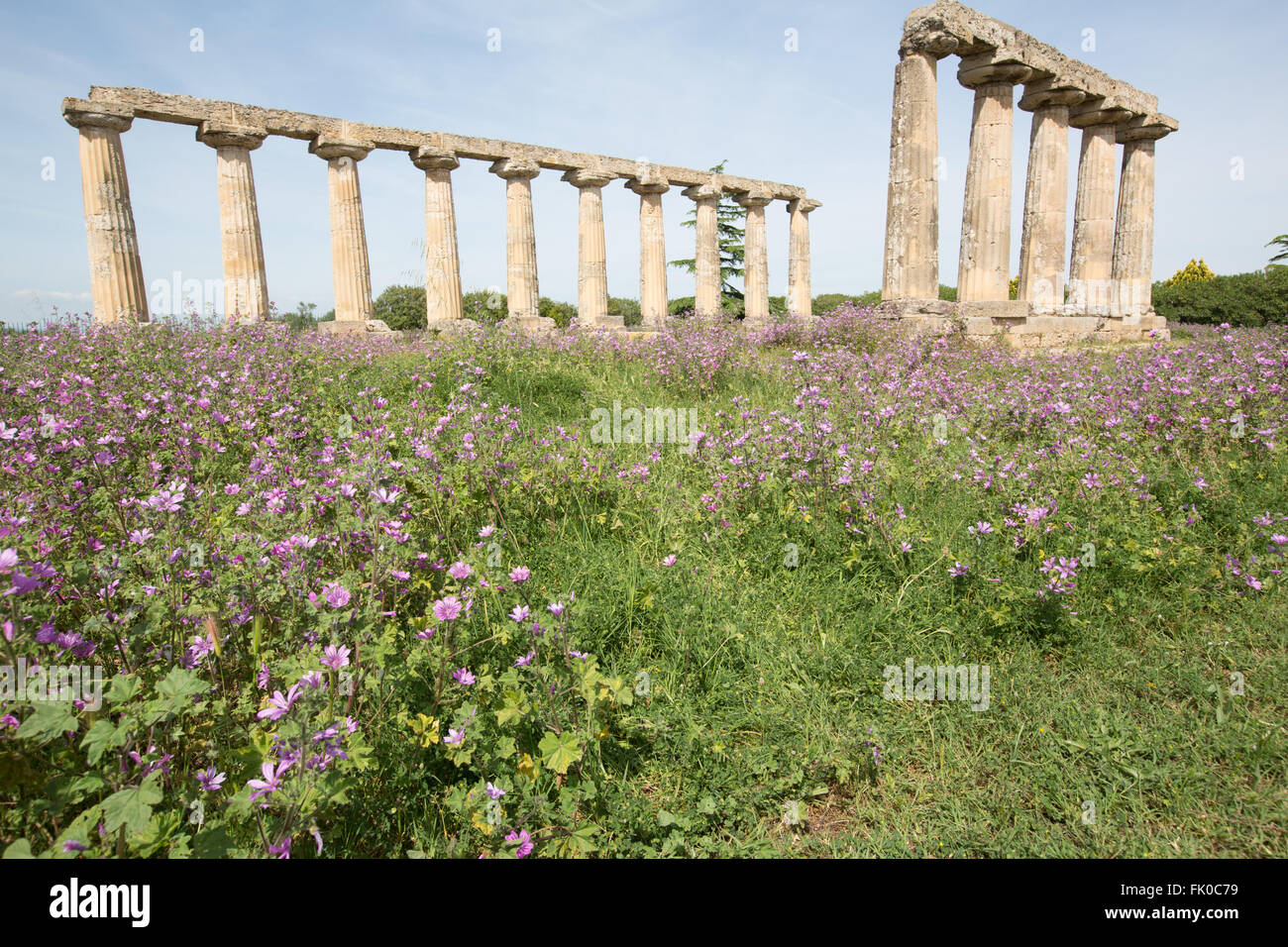 Palatine Tables, Hera Sanctuary in Metaponto, Basilicata, Italy Stock ...