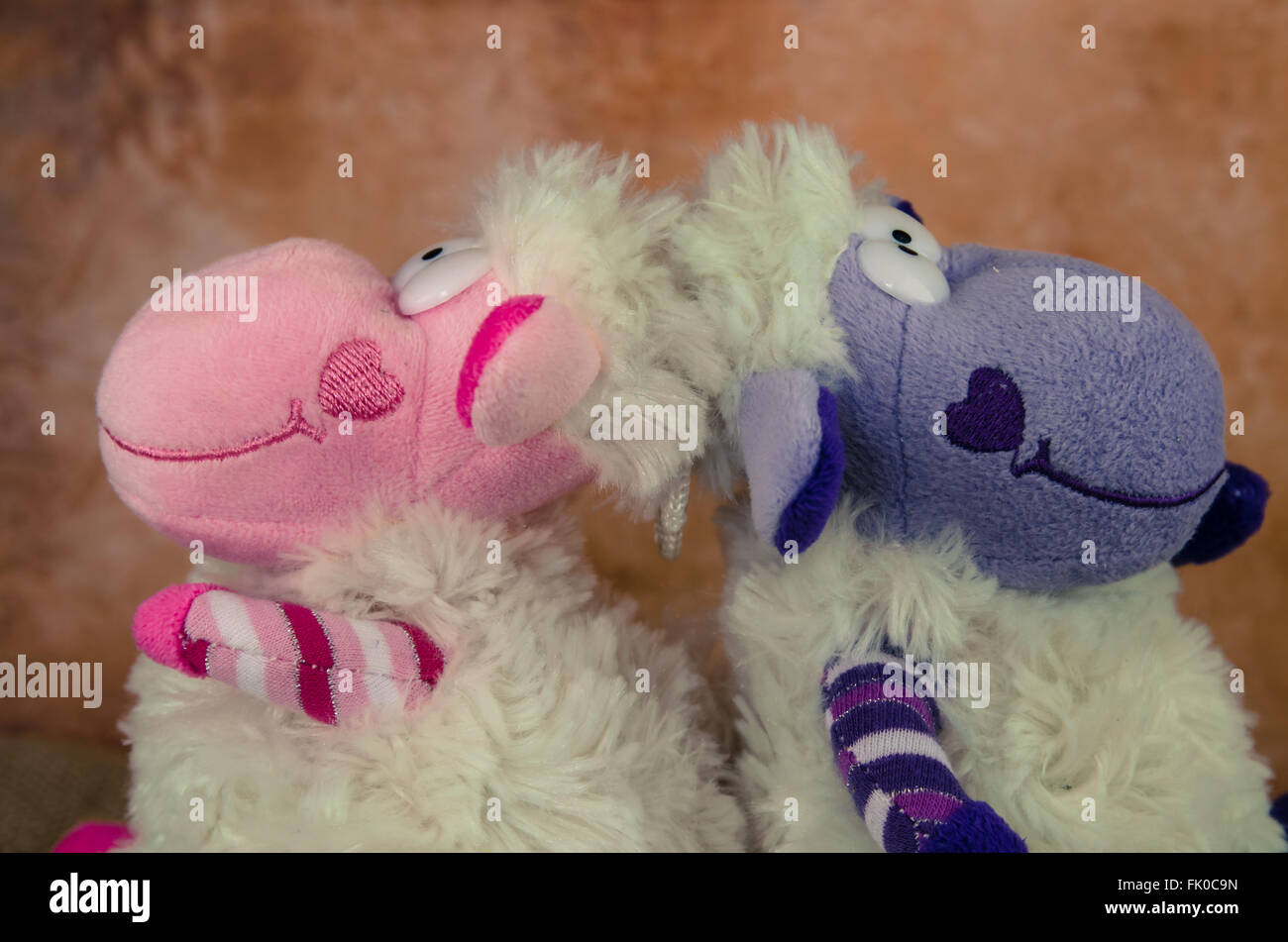 Two colorful sheep hi-res stock photography and images - Alamy