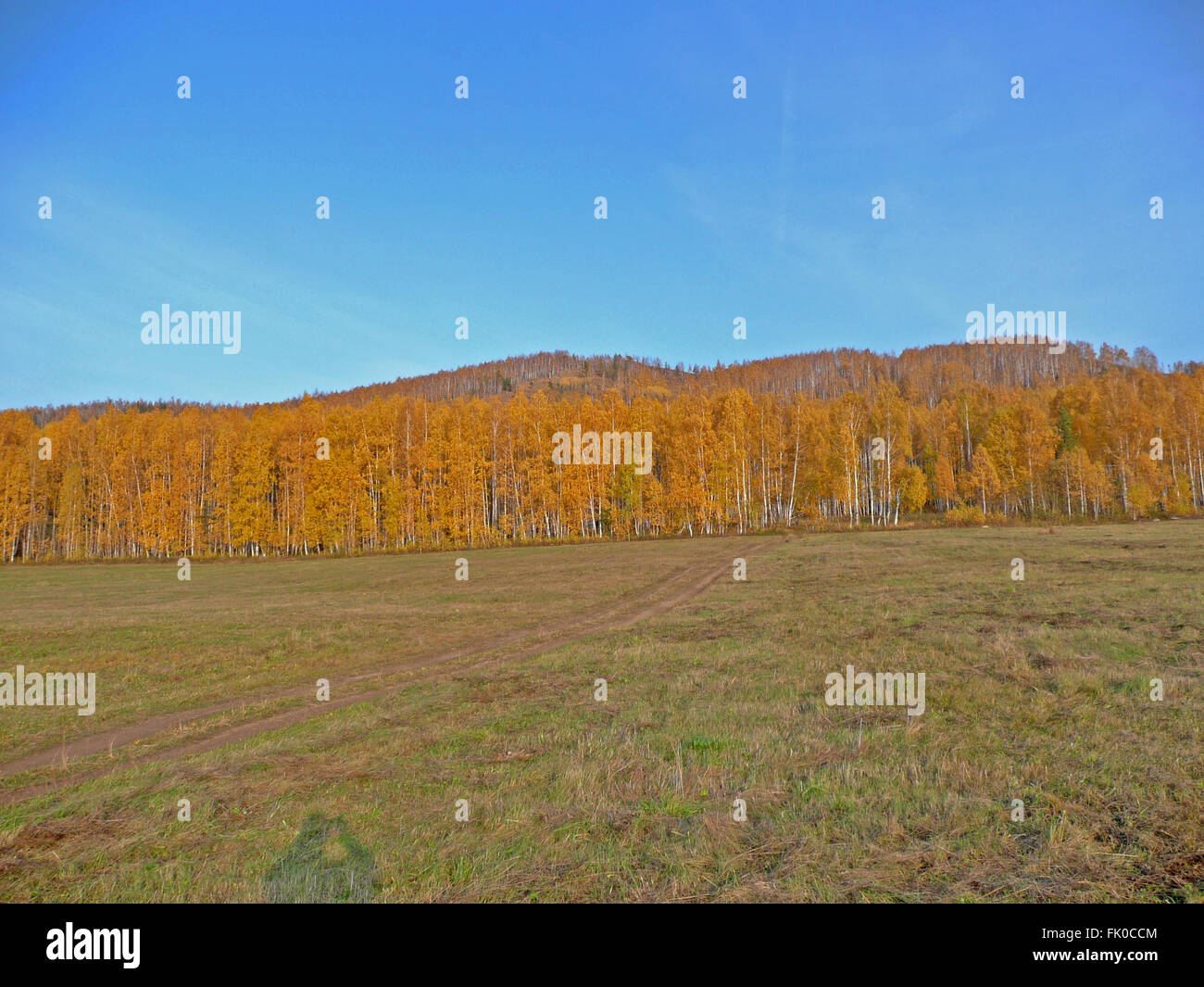 Ural mountains forest hi-res stock photography and images - Alamy