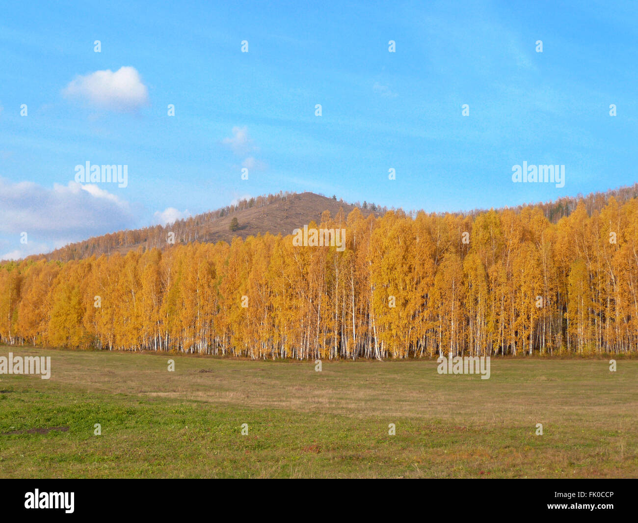 Ural mountains forest hi-res stock photography and images - Alamy