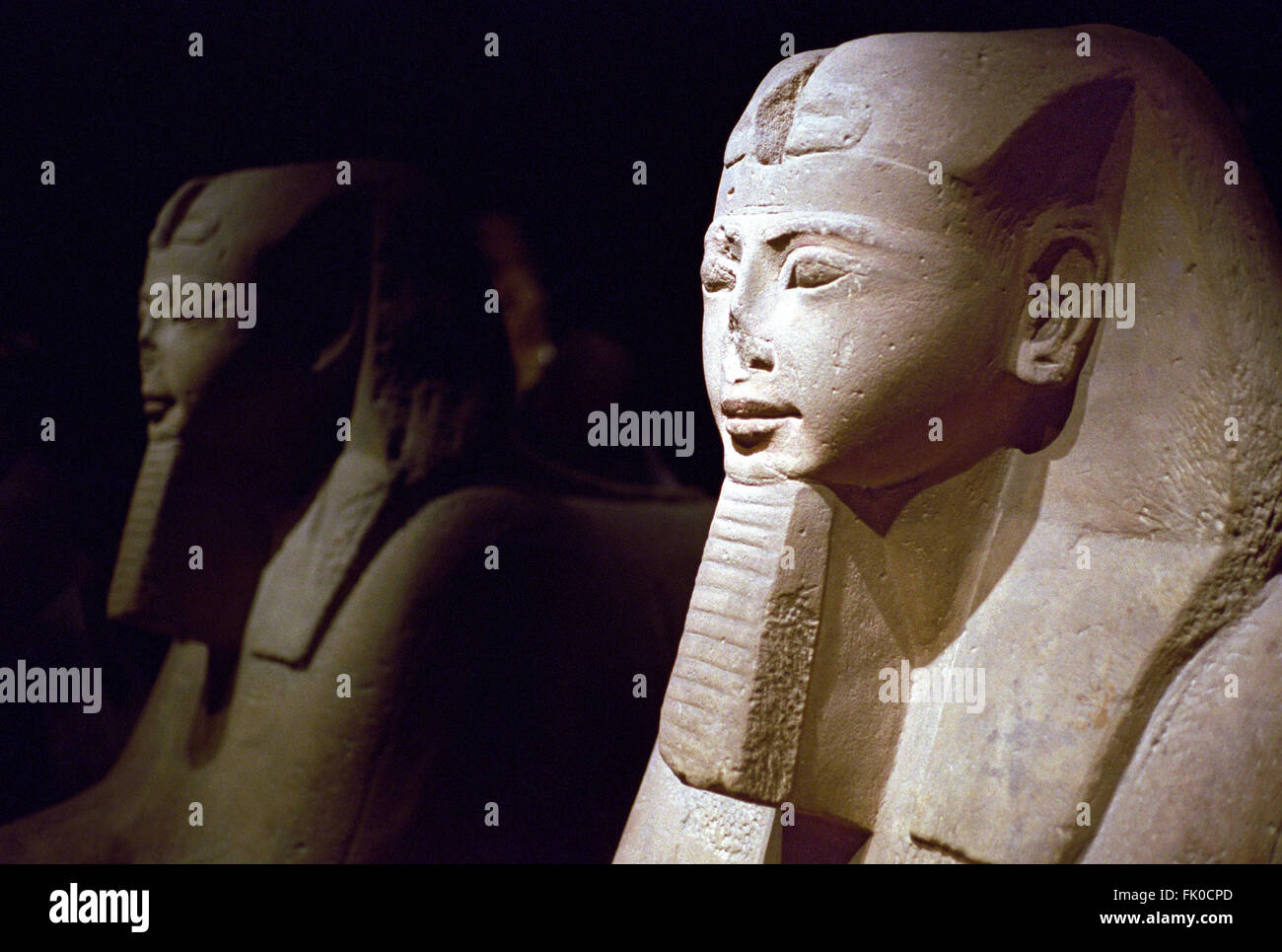 Italy, Piedmont, Turin, Egyptian Museum, Sphinx Room Stock Photo - Alamy