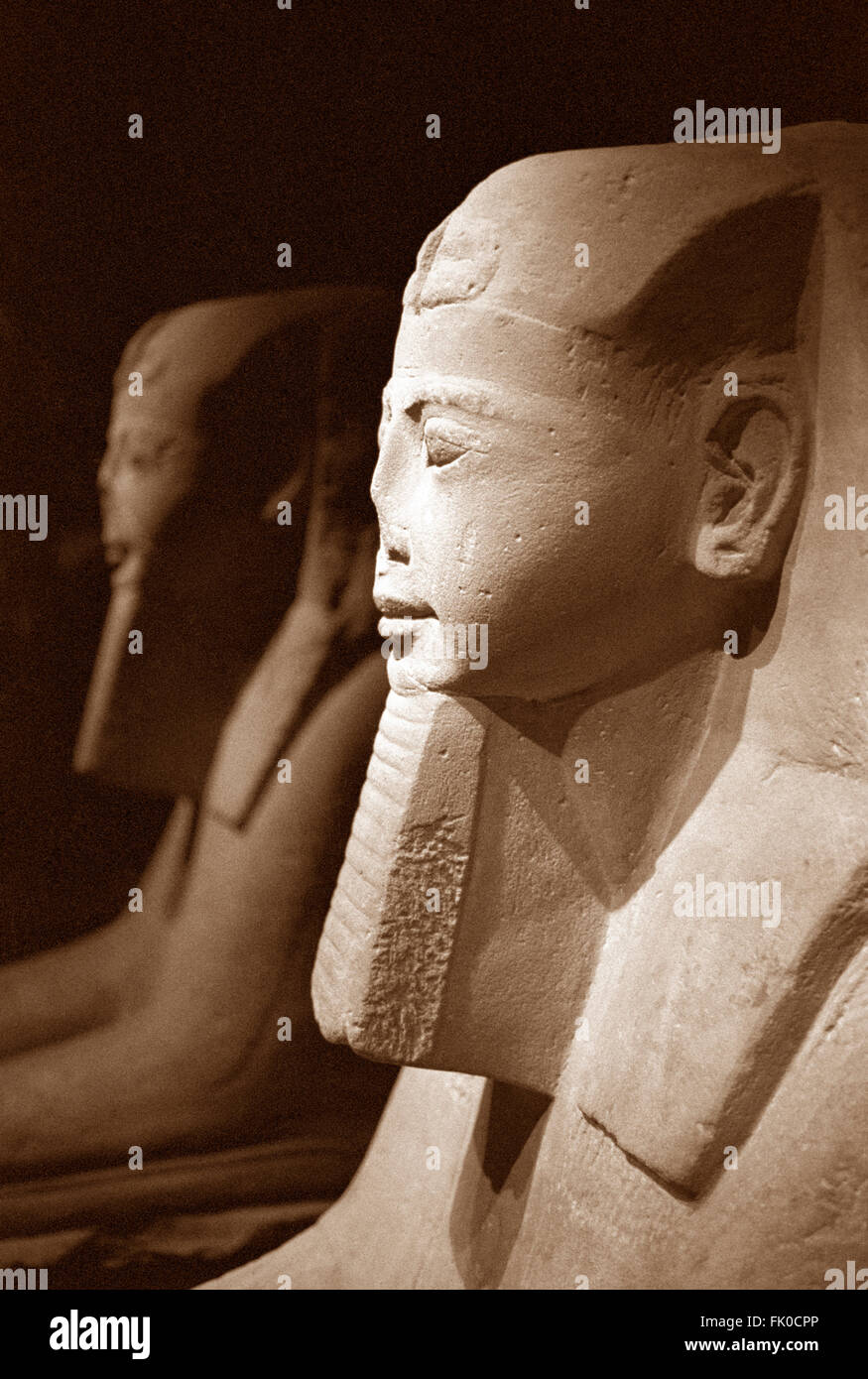 Italy, Piedmont, Turin, Egyptian Museum, Sphinx Room Stock Photo - Alamy