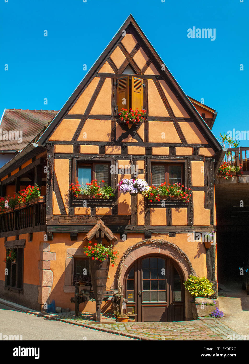 View of the center the village of Bergheim along the Alsace wine route ...