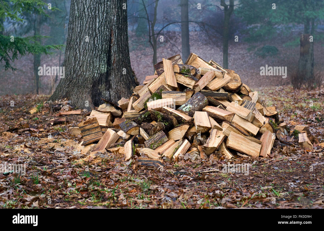 Firewood Pile In Early Morning Fog Stock Photo - Alamy