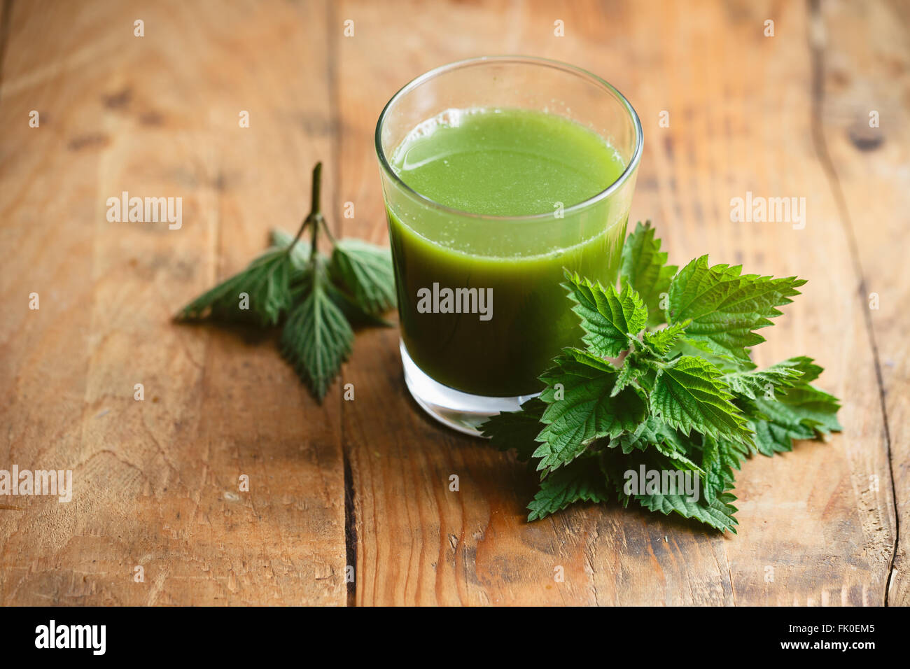 Green stinging nettle hi-res stock photography and images - Alamy