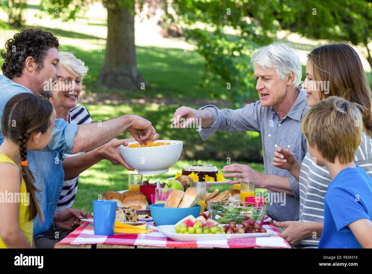 Family having a picnic Stock Photo - Alamy