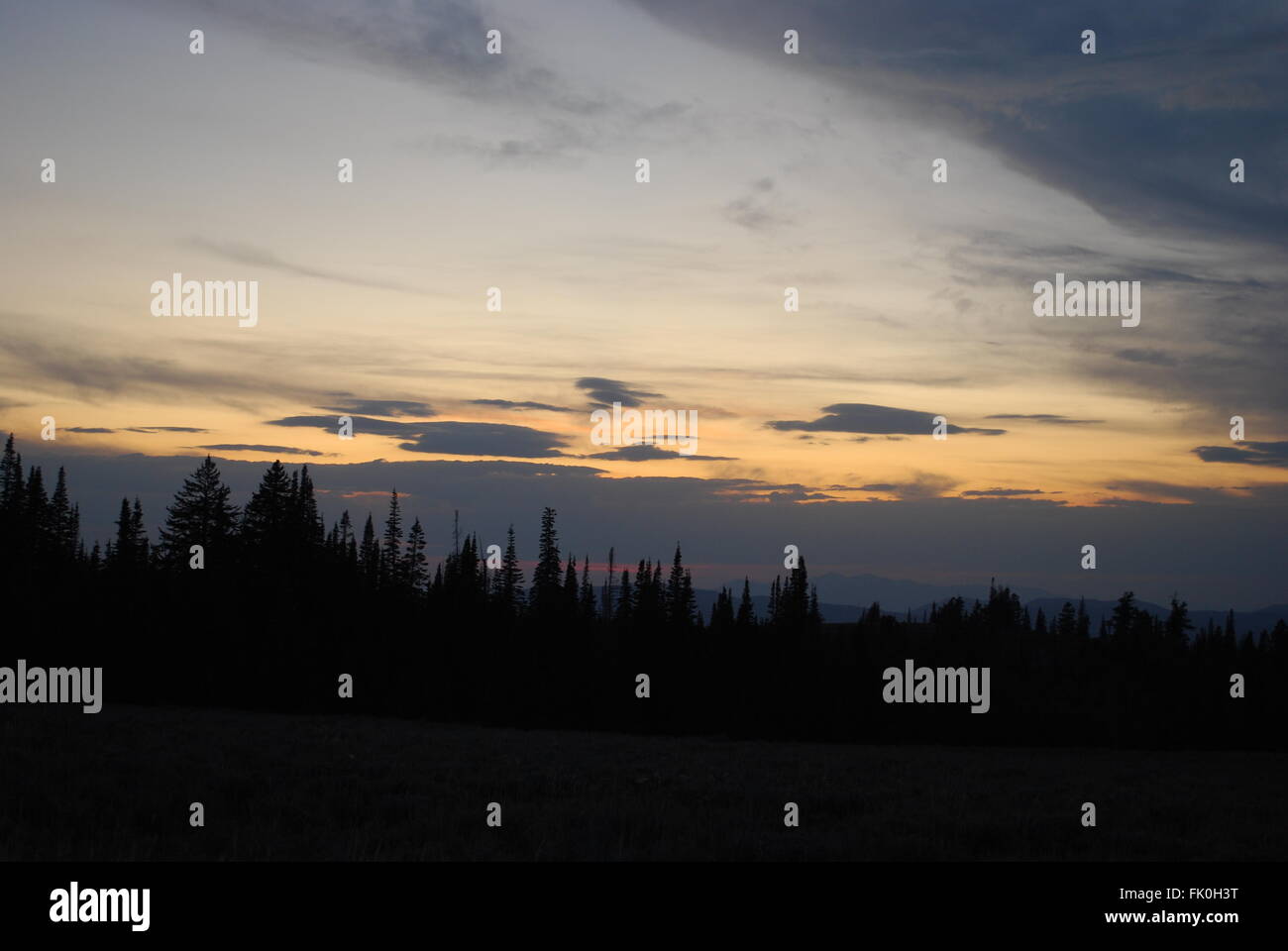 sunset with trees Stock Photo - Alamy