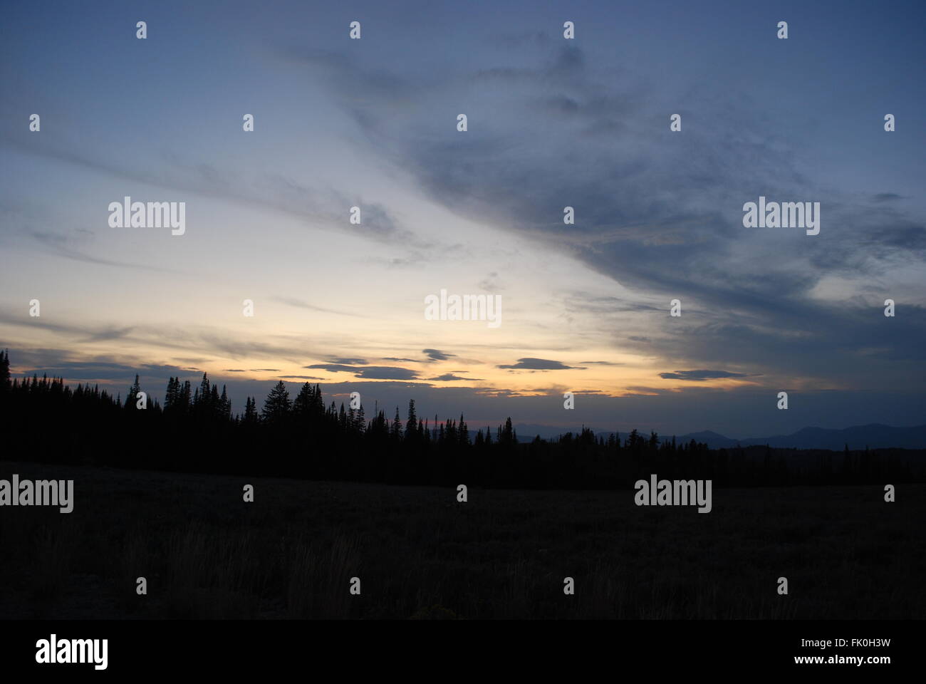 With clouds and treetops hi-res stock photography and images - Alamy