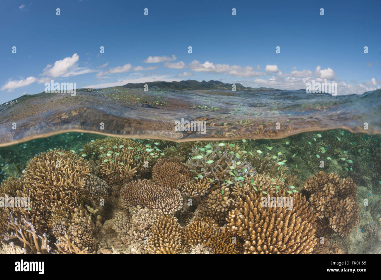 Marine protected areas hi-res stock photography and images - Alamy