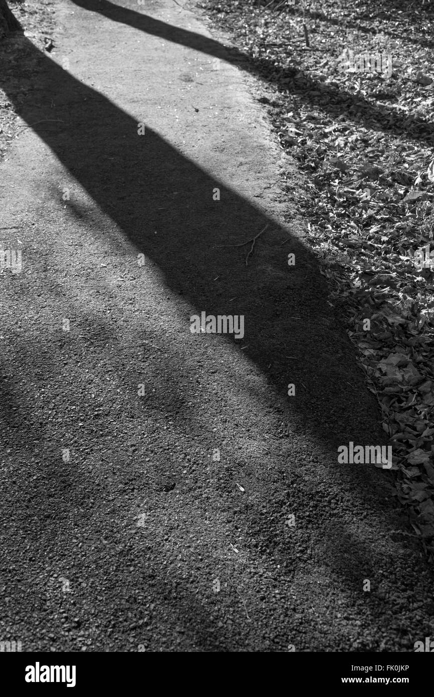 Relax in shadow Black and White Stock Photos & Images - Alamy