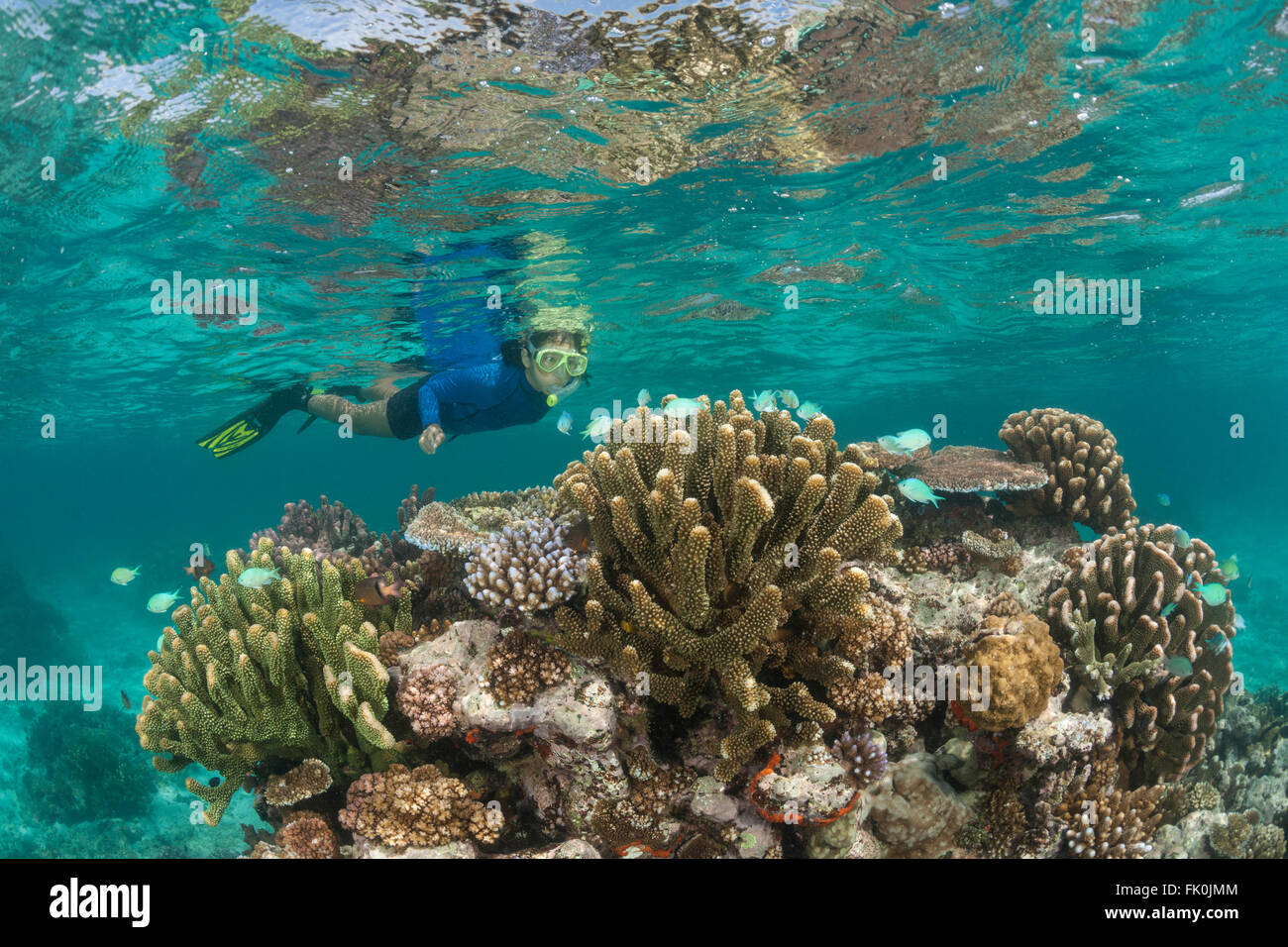 Shallow reefs hi-res stock photography and images - Alamy