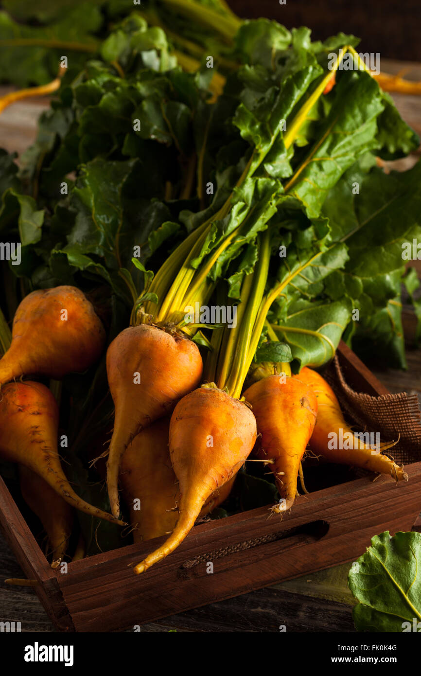 Raw Organic Golden Beets in a Box Stock Photo - Alamy