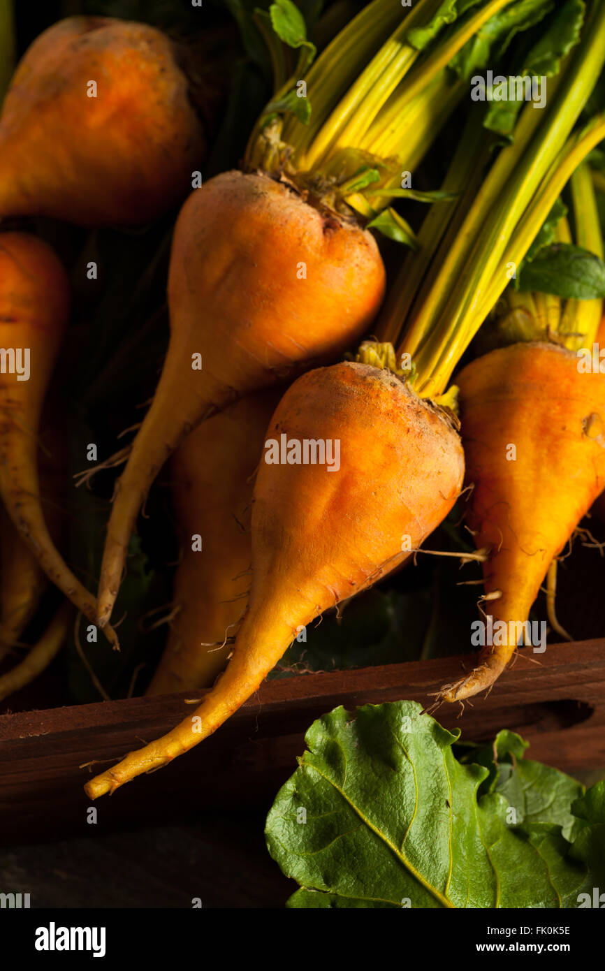 Fresh beets in box hi-res stock photography and images - Alamy