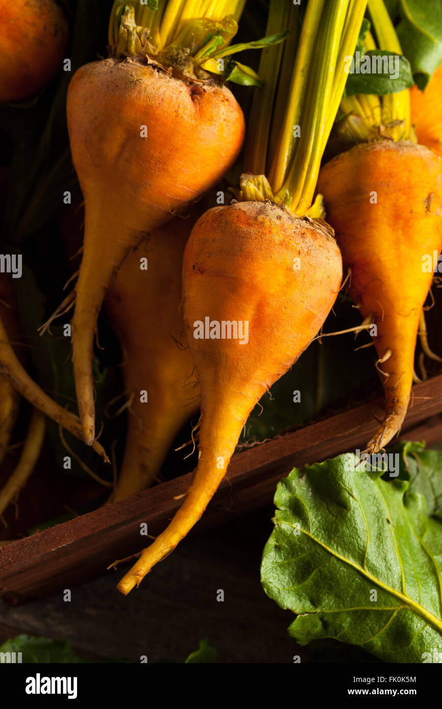 Fresh beets in box hi-res stock photography and images - Alamy