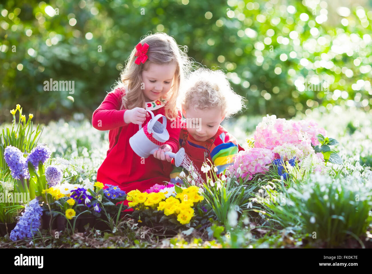 Children planting spring flowers in sunny garden. Little boy and girl ...