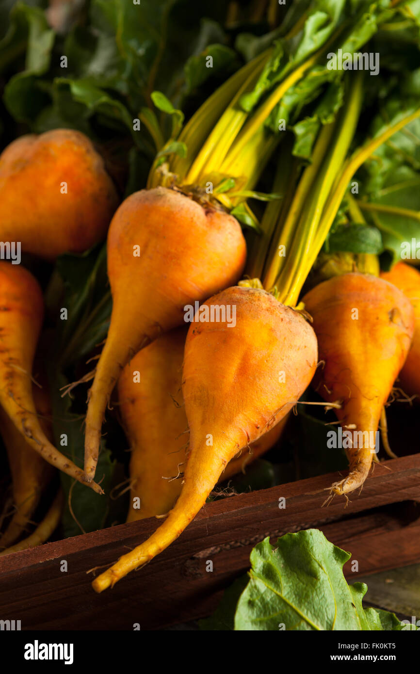 Raw Organic Golden Beets in a Box Stock Photo - Alamy