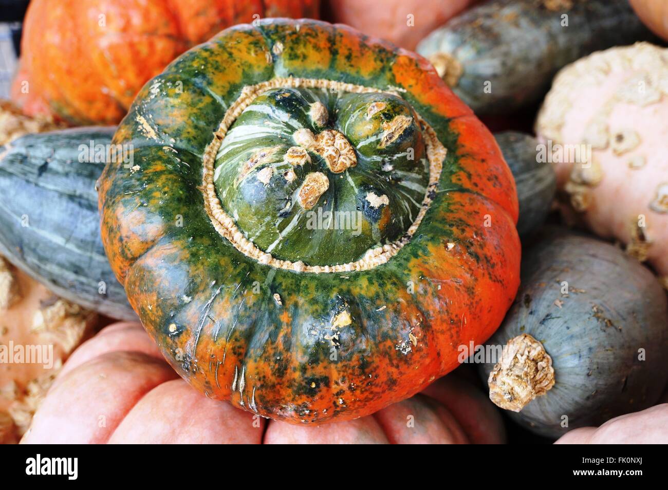 Colorful heirloom squash and pumpkins at the farmers market in the fall ...