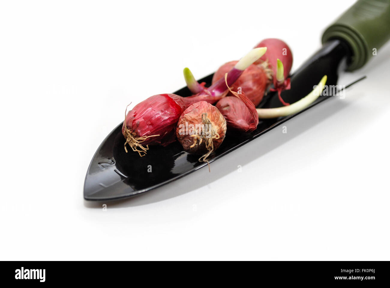 Five of spade hi-res stock photography and images - Alamy