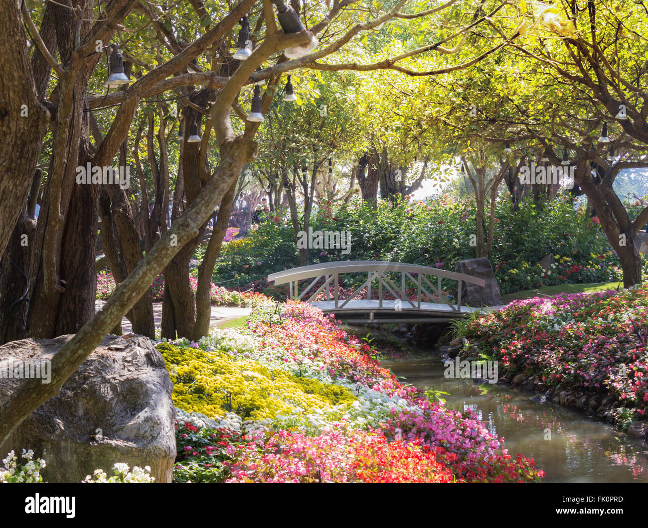 wooden bridge in flower garden tropical flower garden Stock Photo - Alamy