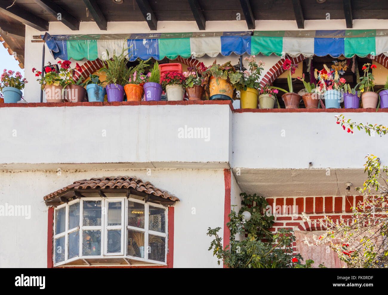 A row of colorful flower pots on the terrace of a house in Janitzio ...