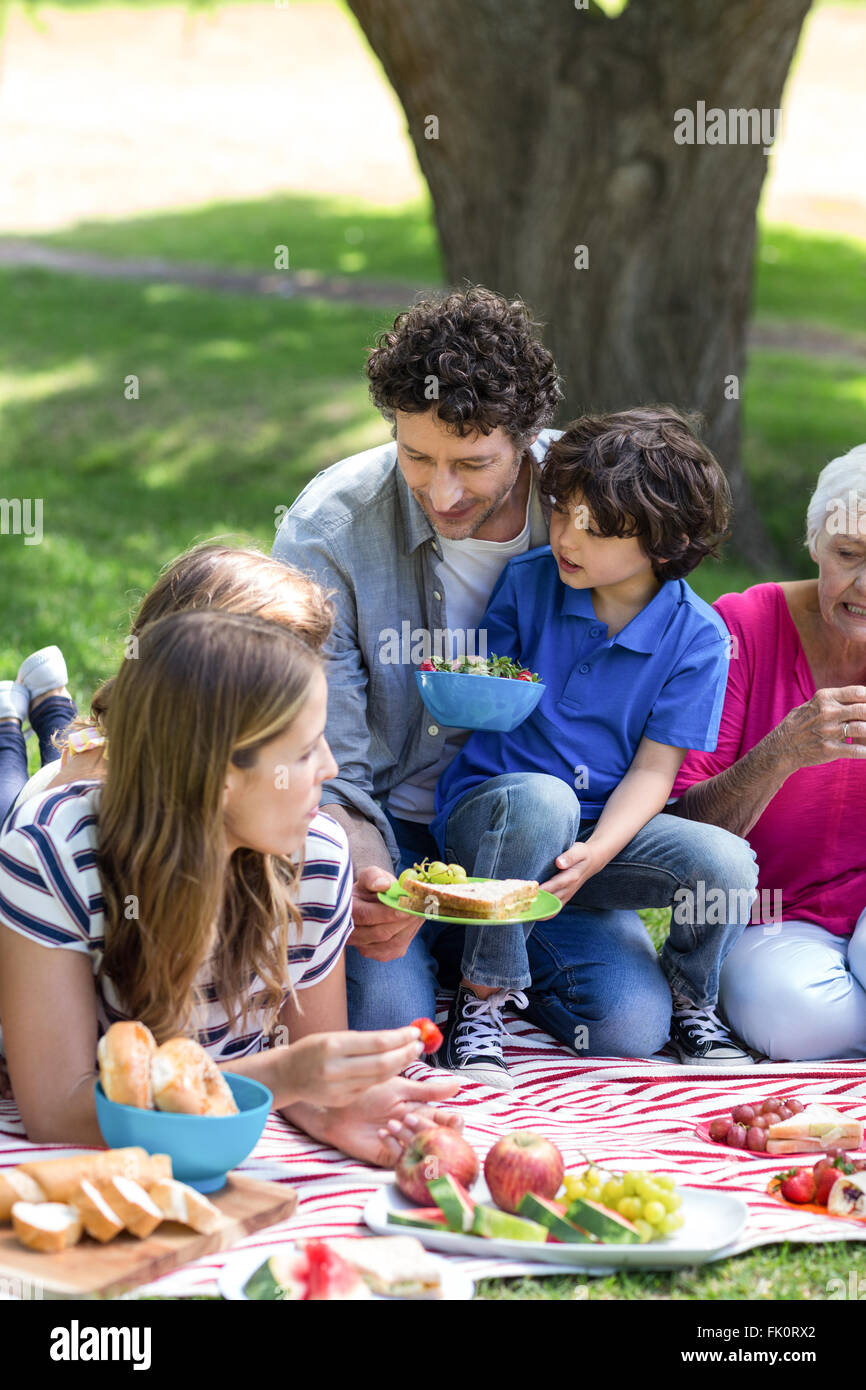Smiling family having a picnic Stock Photo - Alamy
