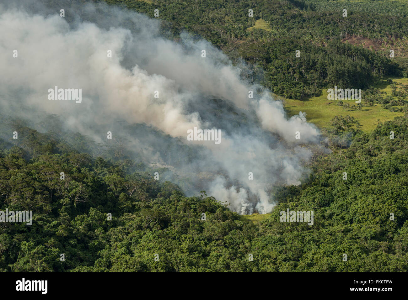 Aerial - smoke coming out of burning farm fields Stock Photo - Alamy