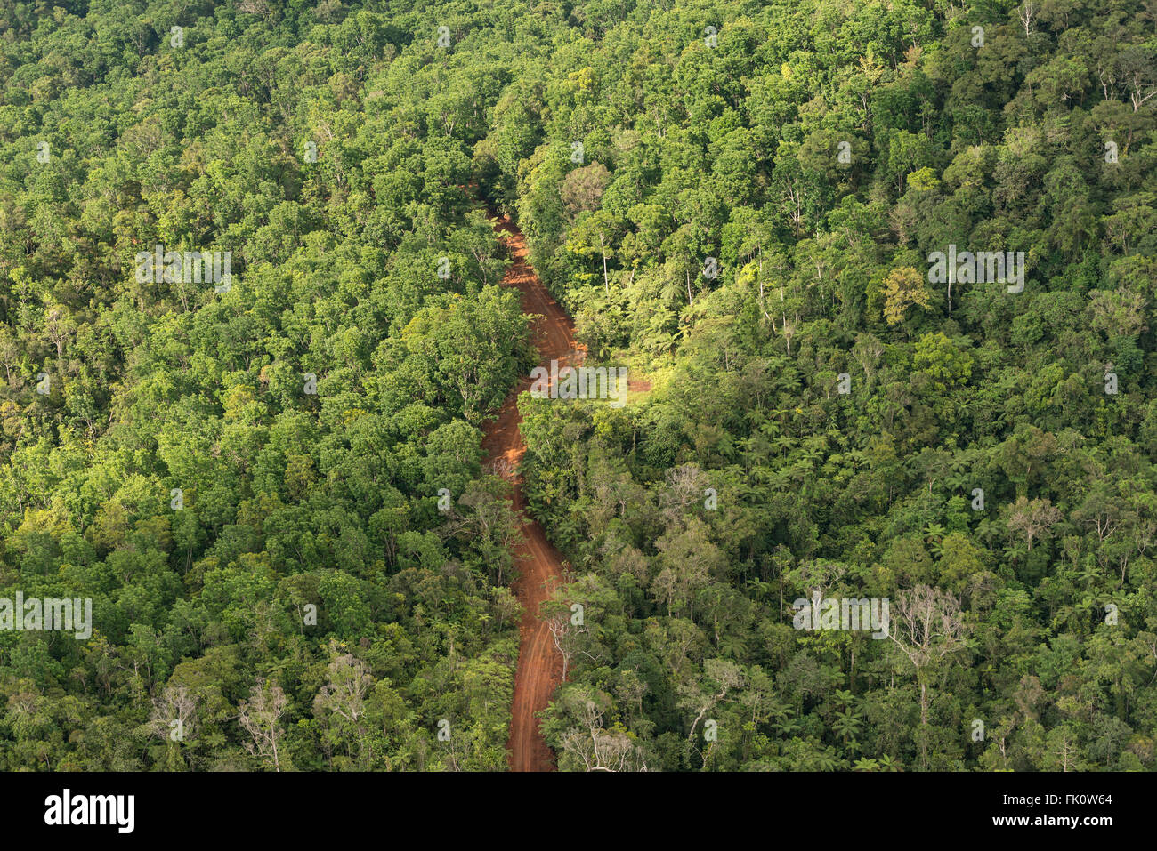Aerial - road within the forest of Northern Division Stock Photo - Alamy