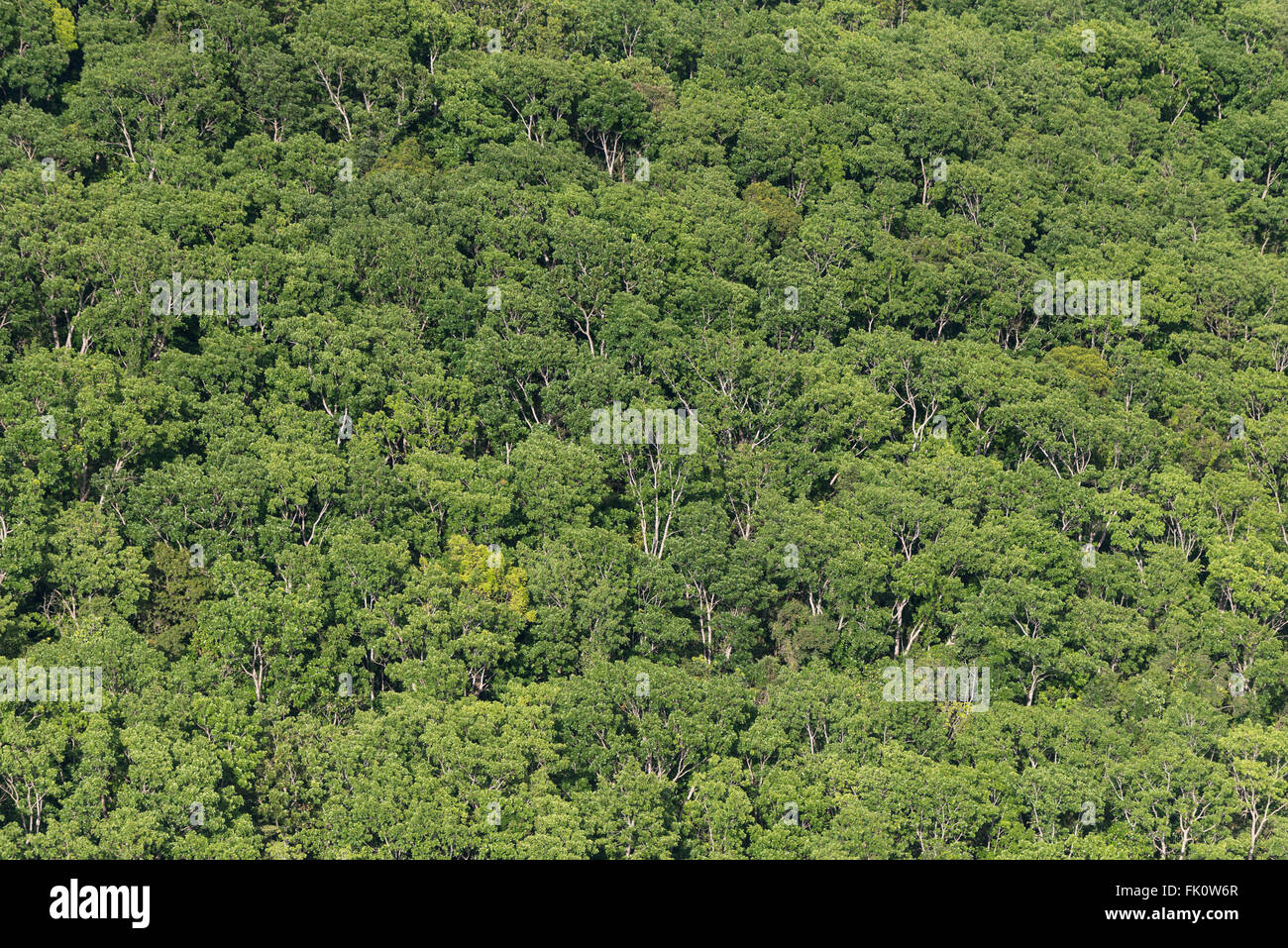 Northern division hi-res stock photography and images - Alamy