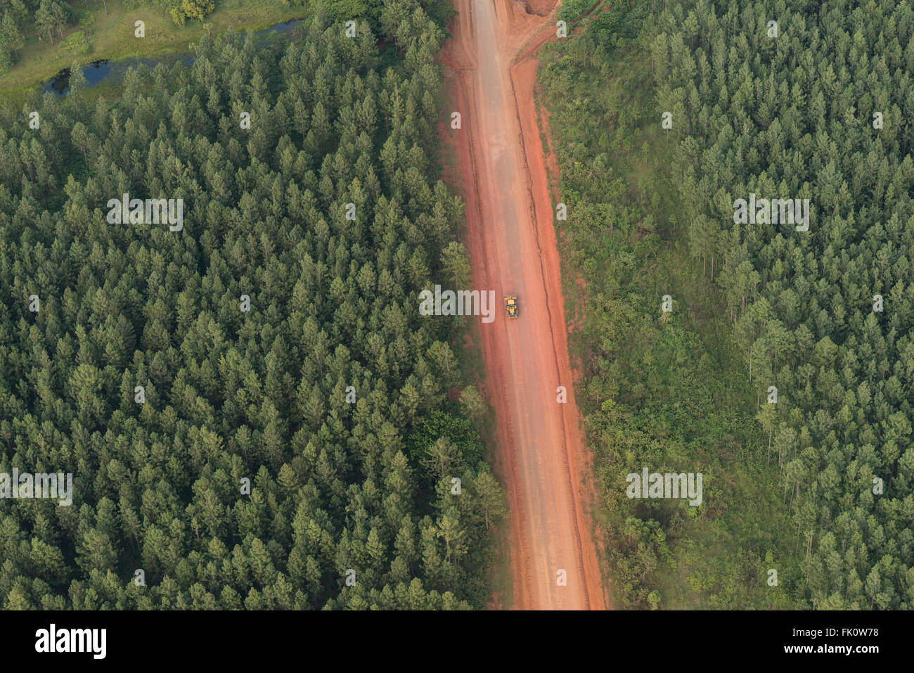 Aerial - road within the forest of Northern Division Stock Photo - Alamy