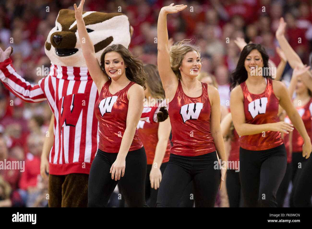 Madison, WI, USA. 28th Feb, 2016. Wisconsin Badgers cheerleaders ...