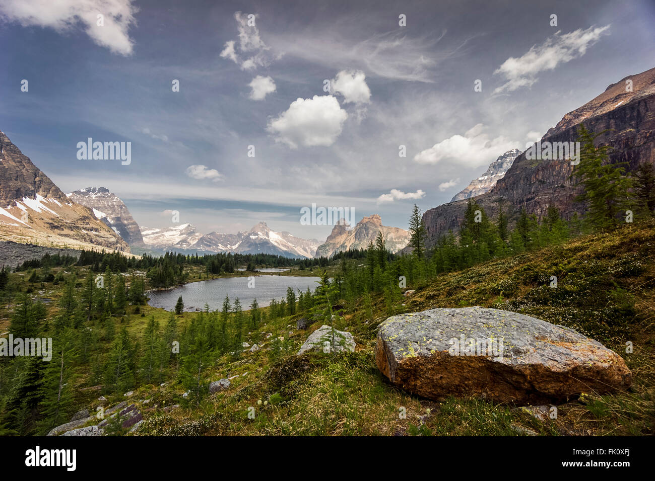 Opabin Plateau, Lake O'Hara Region of Yoho National Park, Canadian ...