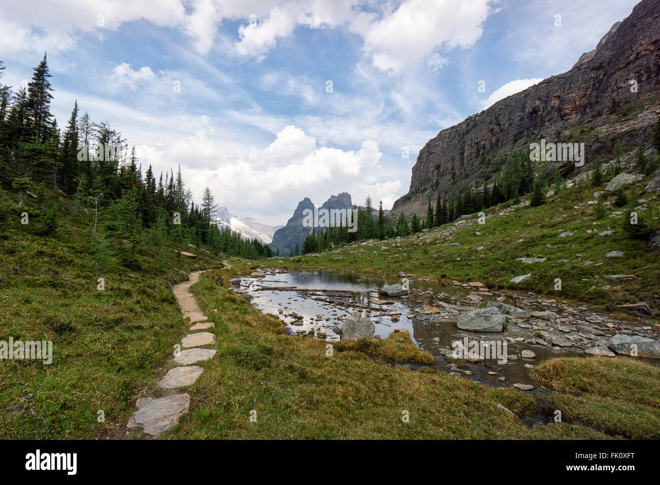Opabin Plateau, Lake O'Hara Region of Yoho National Park, Canadian ...
