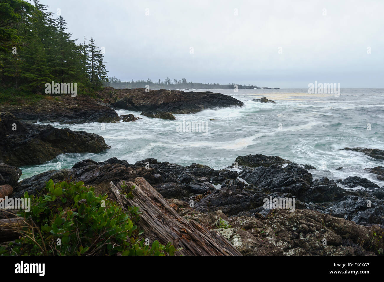 Wild Pacific Trail, Ucluelet, Tofino, Pacific Rim National Park ...