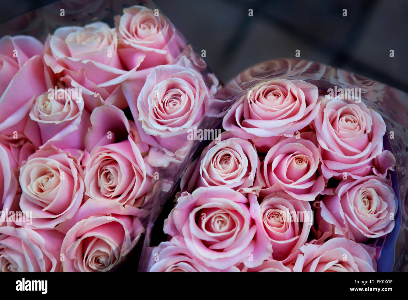 Close up of two bunches of roses in a flower shop Stock Photo - Alamy