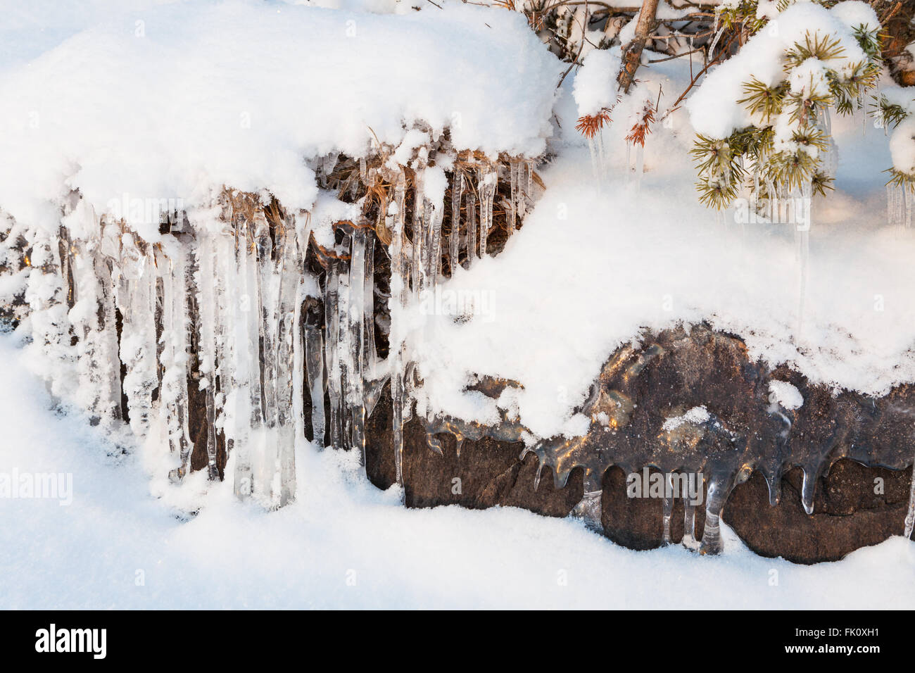 Beautiful icicle ice formation on small tree Stock Photo - Alamy
