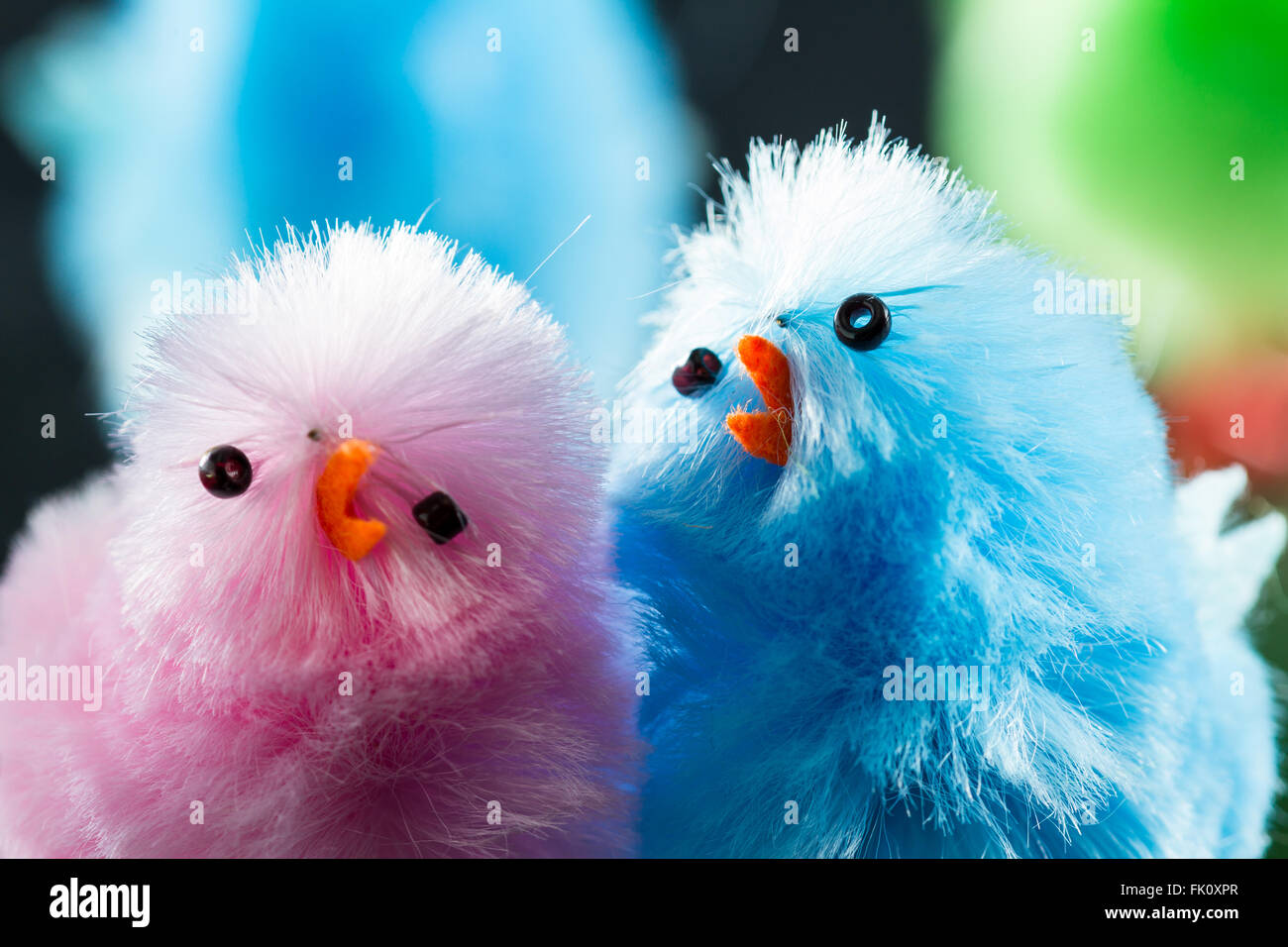 close up of a group of fuzzy chicks in pastel colors for a spring ...