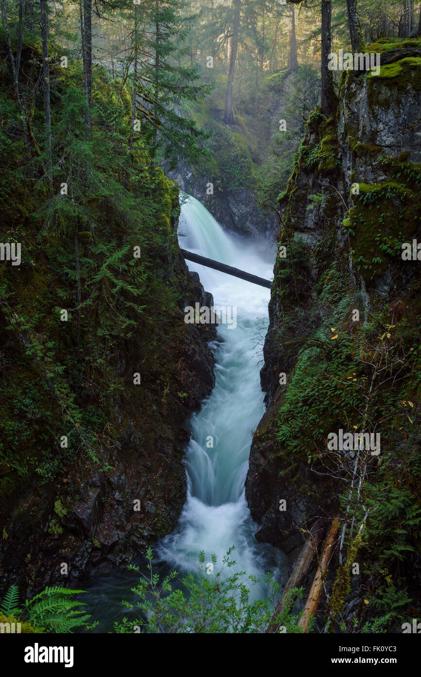 Little Qualicum Falls Stock Photos & Little Qualicum Falls Stock Images ...