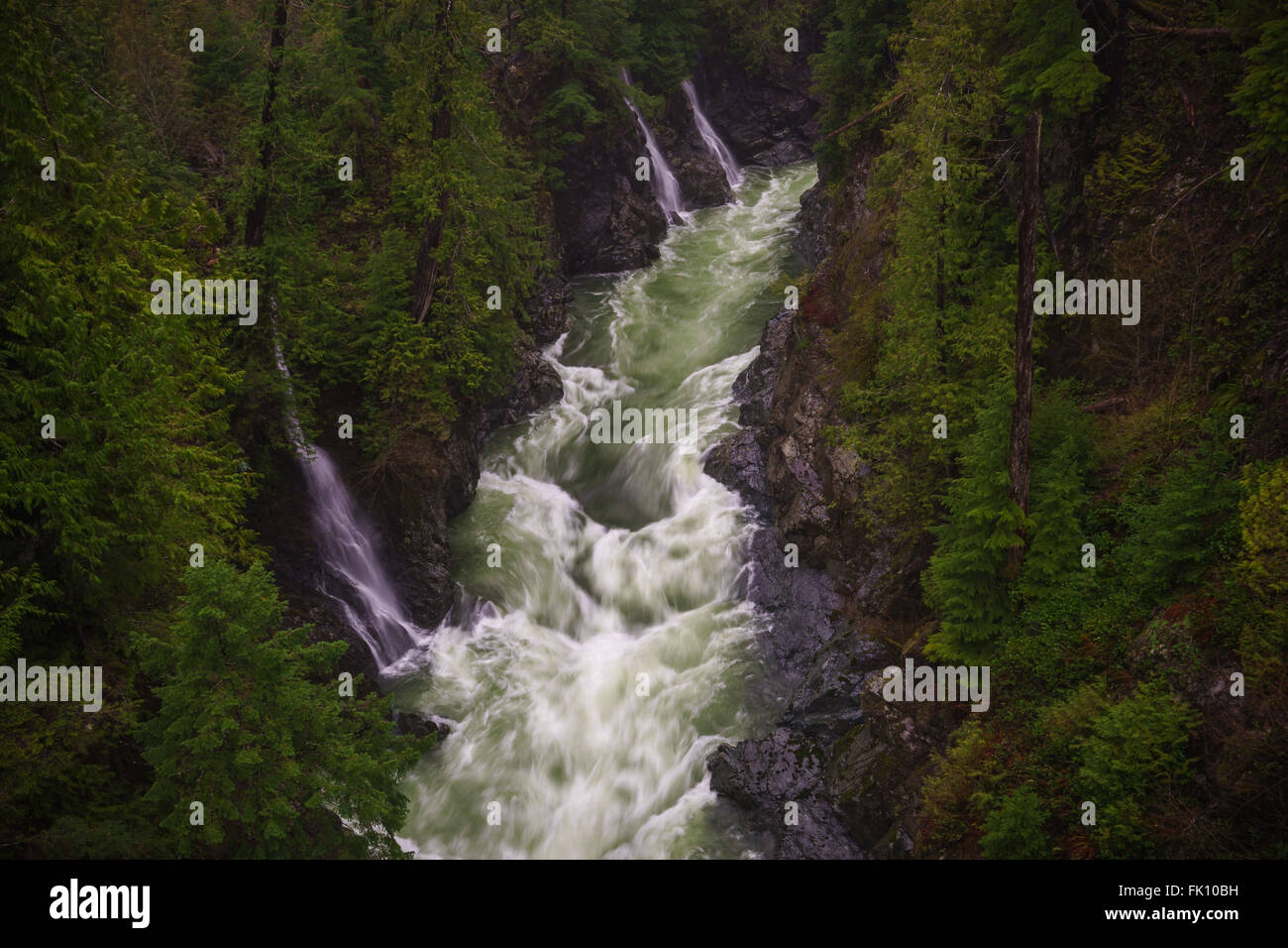 Gordon river hi-res stock photography and images - Alamy