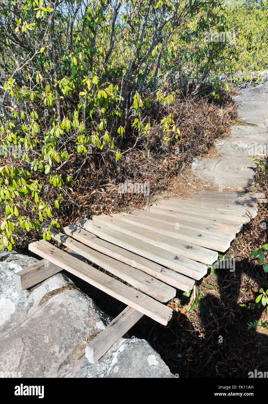Small wooden bridge of the nature trail on the rock mountain Stock ...