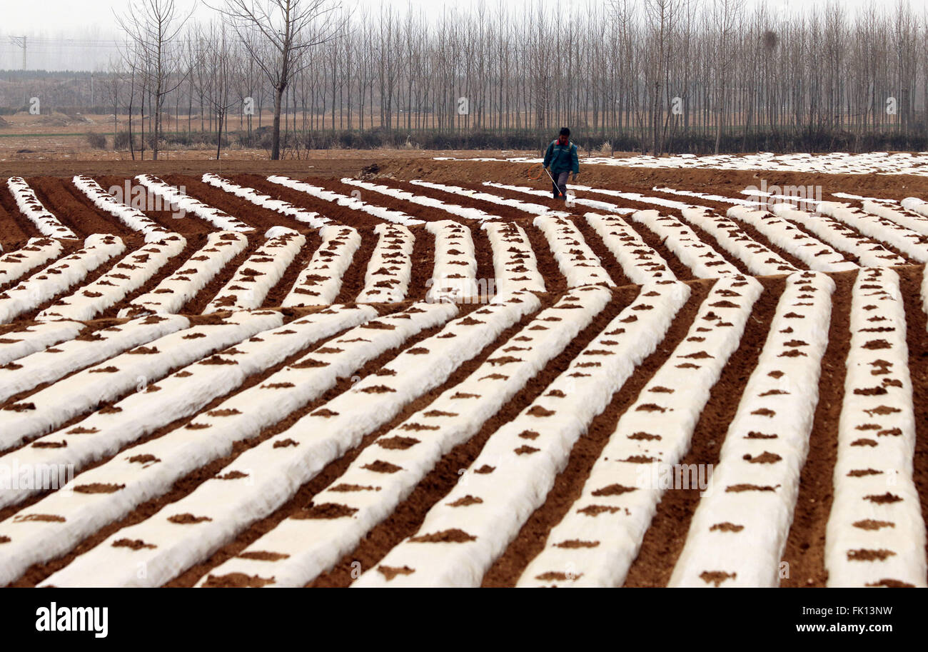 Jining, Zoucheng City of east China's Shandong Province. 5th Mar, 2016 ...