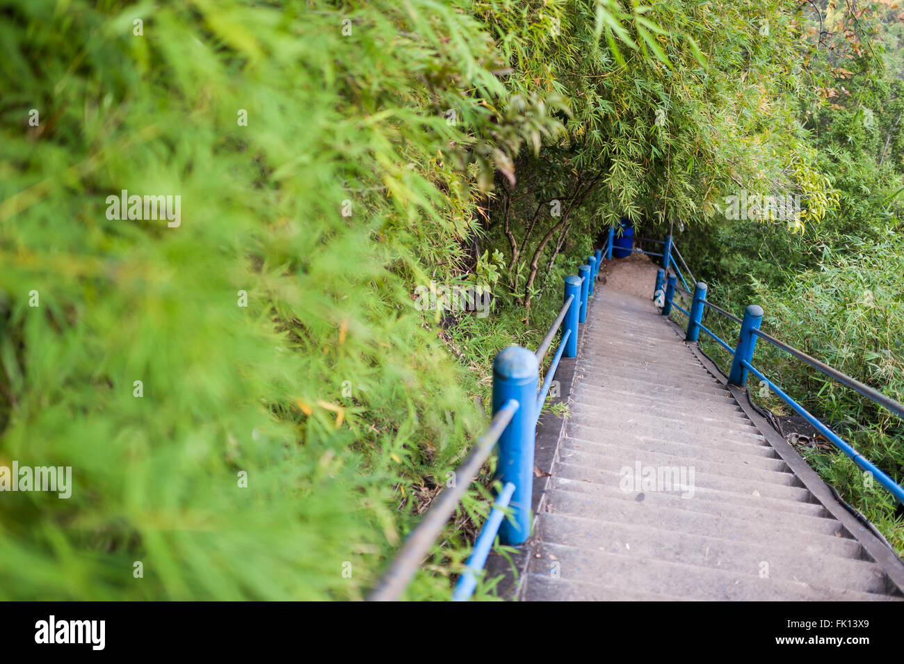 Staircase leading down hi-res stock photography and images - Alamy