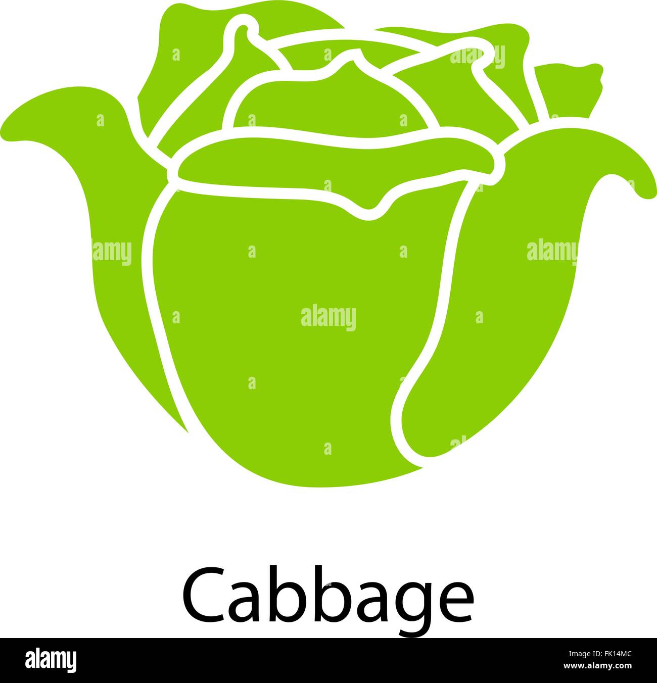 Cabbage icon on white background. Vector illustration Stock Vector ...